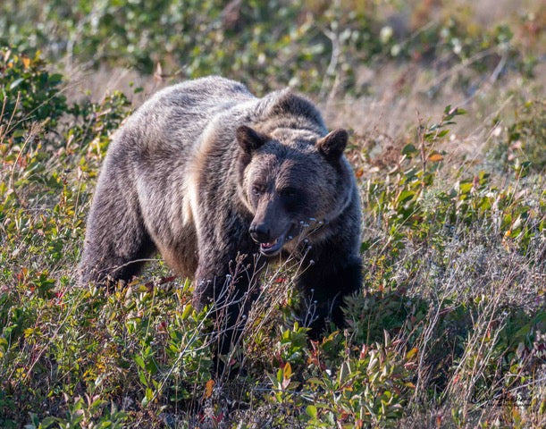 Little Big Guy – Cooper Hansen Nature Photography